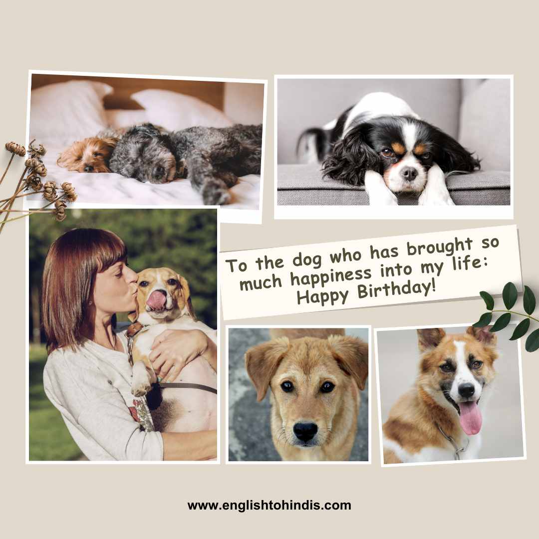 Top Dog Birthday Wishes | Happy Birthday Dog Messages, Quotes and Images