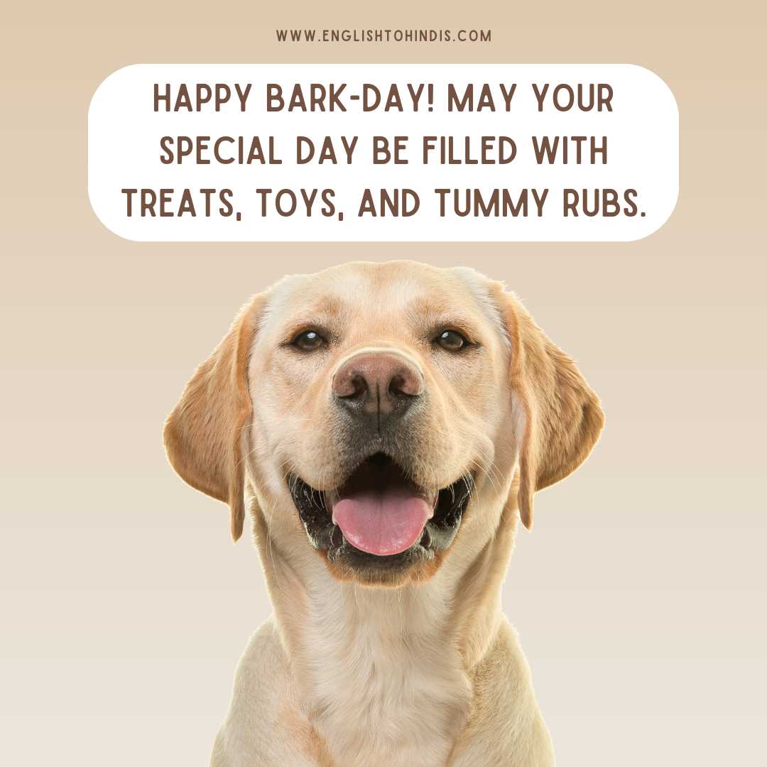 Top Dog Birthday Wishes | Happy Birthday Dog Messages, Quotes and Images